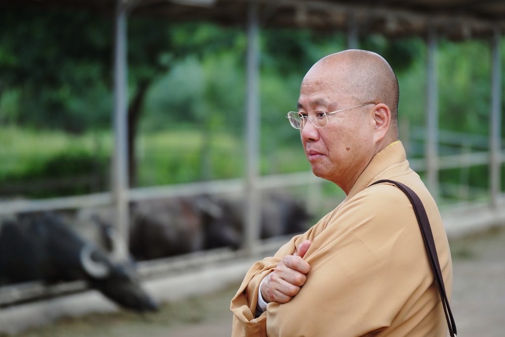 Venerable Guan Cheng and Team Rescue Cattle in Thailand - International ...