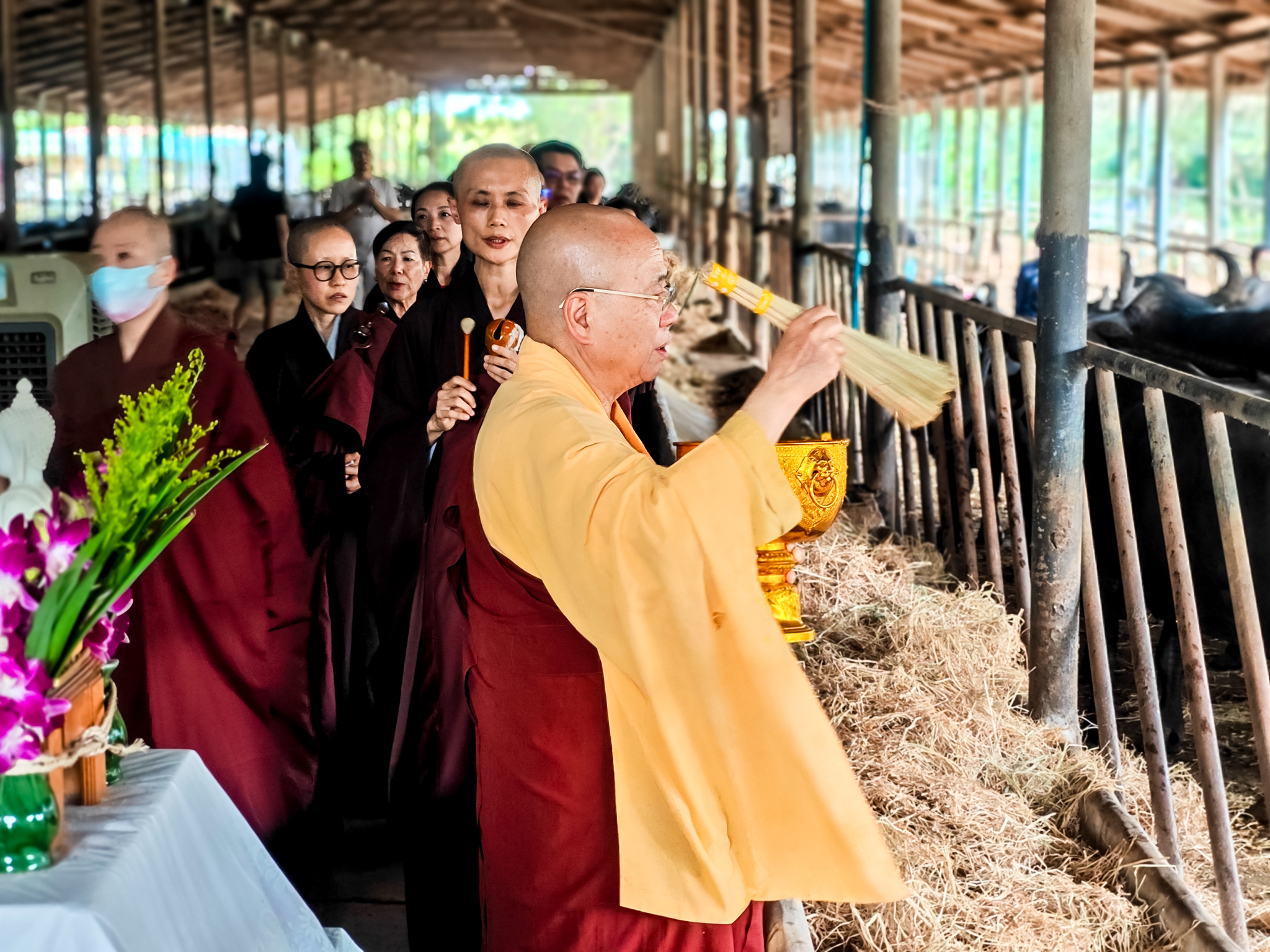 Venerable Guan Cheng and Team Rescue Cattle in Thailand - International ...